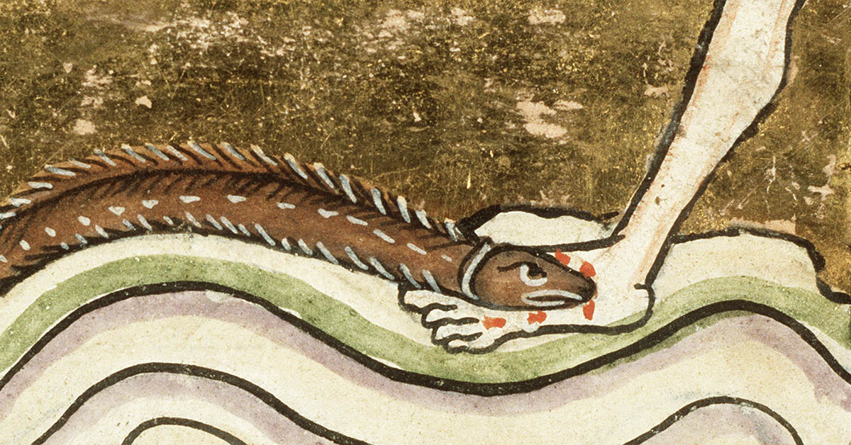 Leechcraft Liposuction • Shake-Speare’s blog